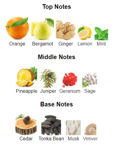 Armaf Odyssey Mega Man EDP - scentiment.lk